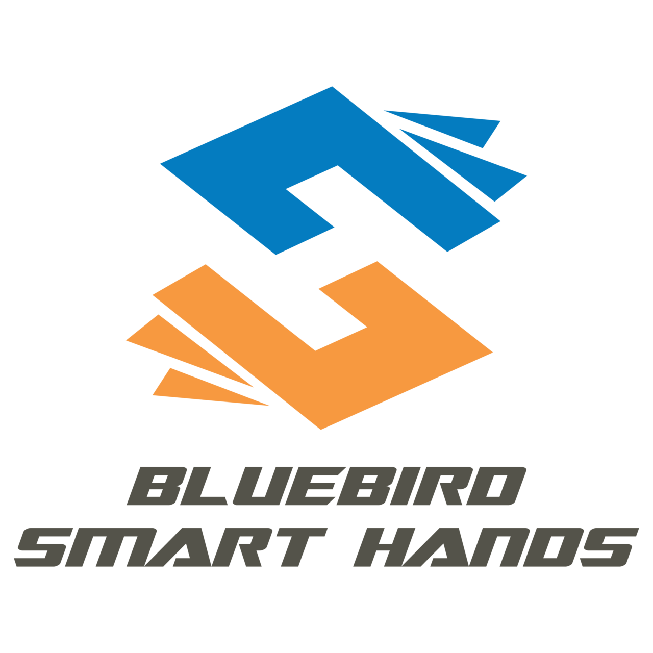 Smart Hands - Bluebird Fiber